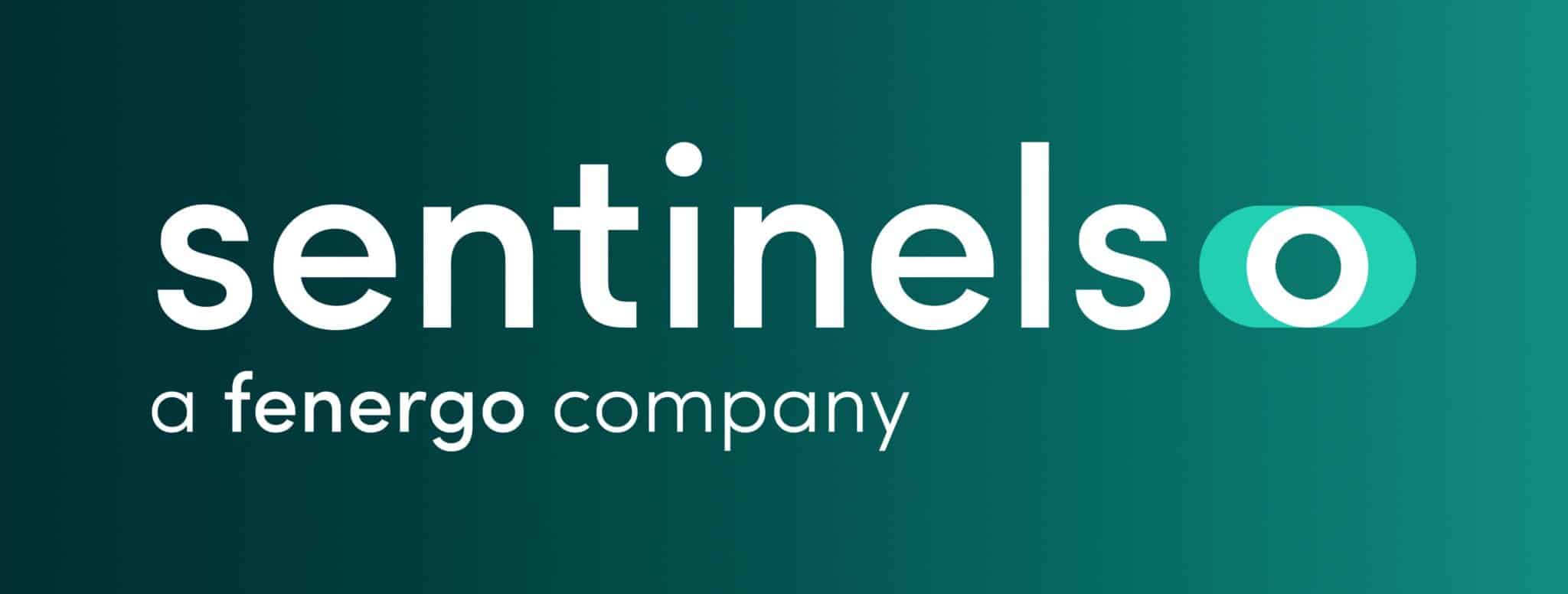 Sentinels Klantcase | Succes met digital advertising